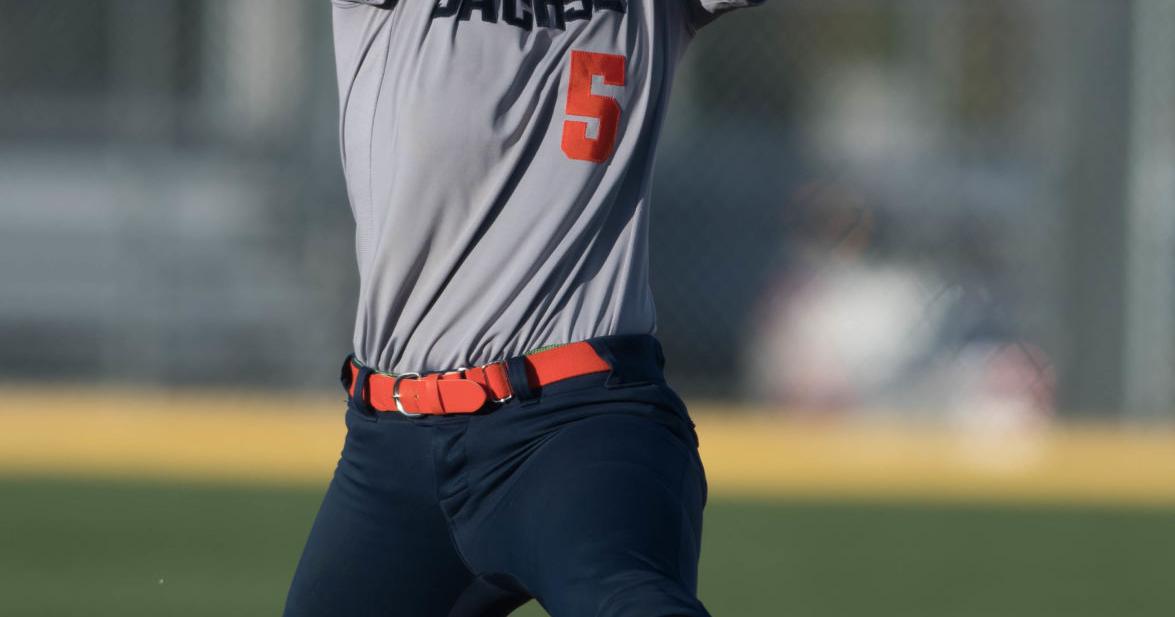 Sachse hoping to take the next step forward in softball playoffs ...