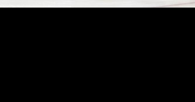 Hockey: Allen Americans returning home, on brink of elimination in ...