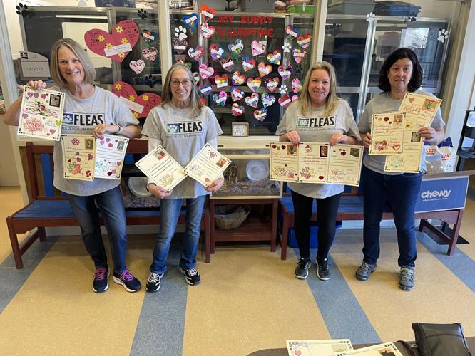 Learn how Friends of Little Elm Animal Shelter has become a beacon of ...