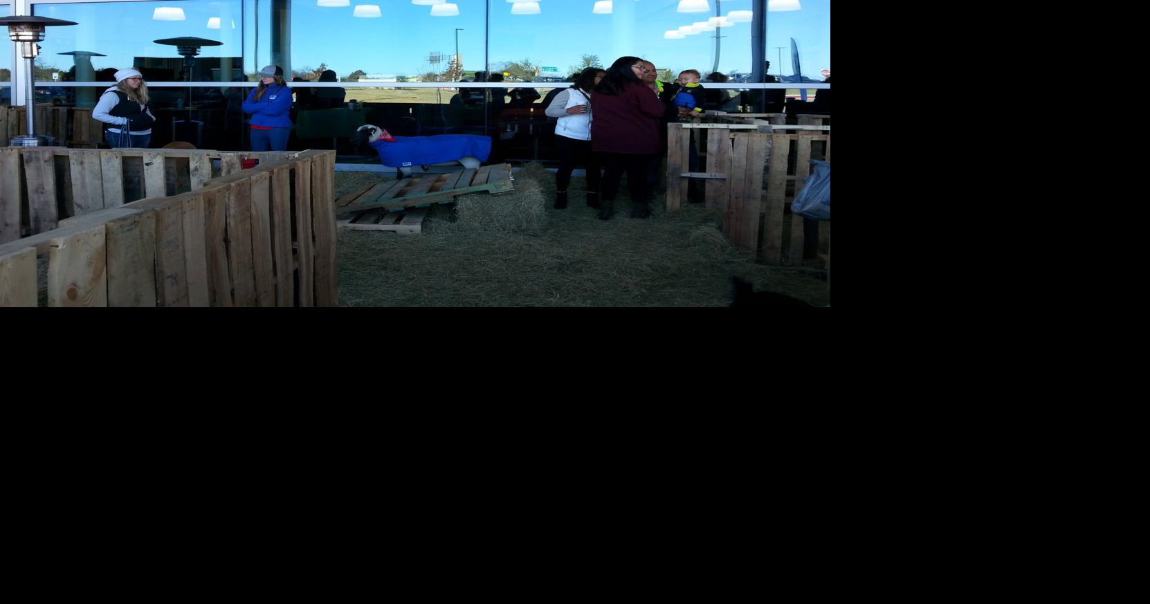 Winter Wonderland at GRCTC, collaborative event for family-fun ...