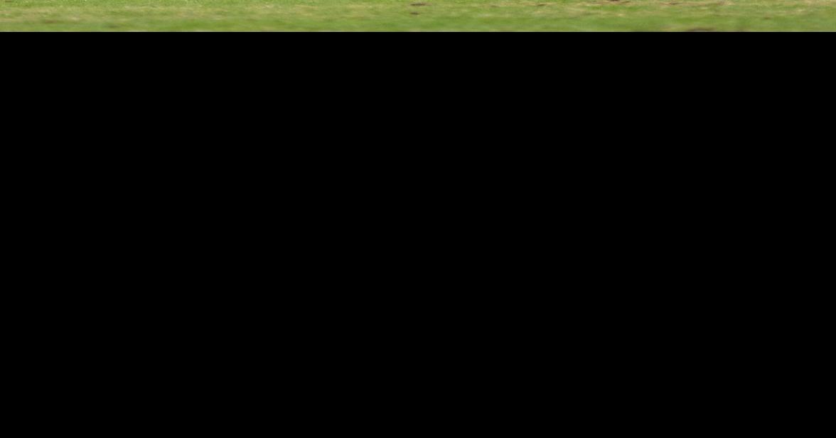 Team Preview: Mesquite Poteet Pirates | Gridiron | starlocalmedia.com