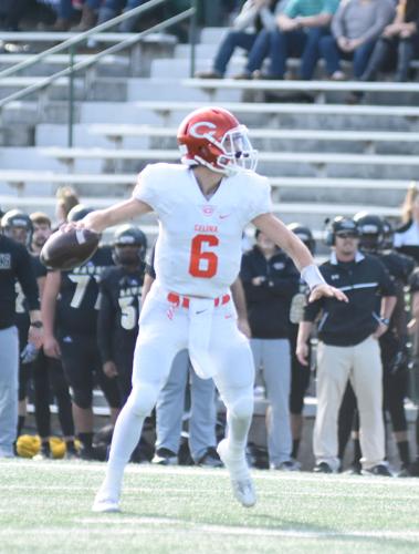So we meet again: Bobcats look to deny Gilmer revenge bid | Homepage ...