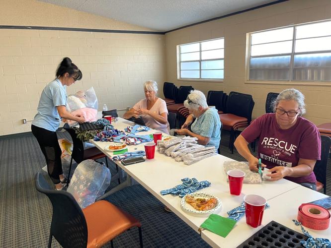 Learn how Friends of Little Elm Animal Shelter has become a beacon of ...