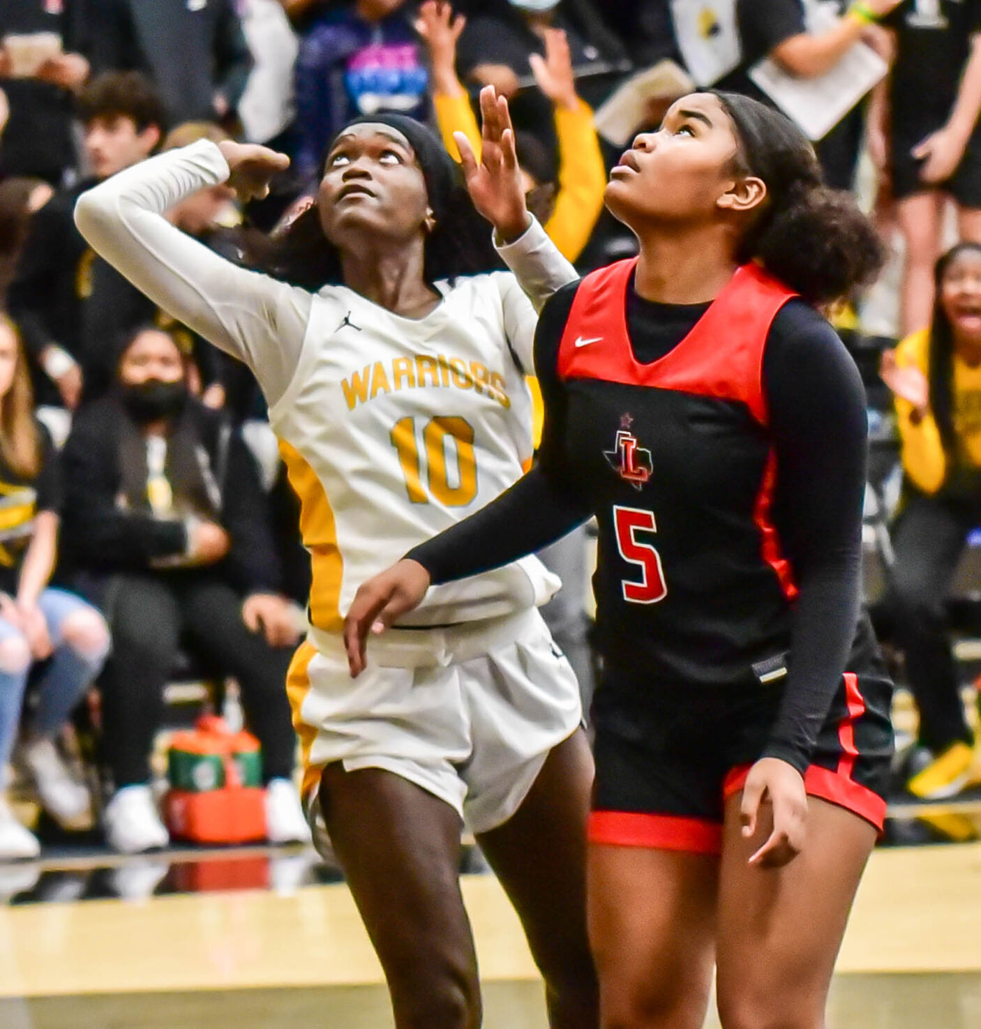 Survive and advance: Trio of FISD girls basketball teams advance in the ...