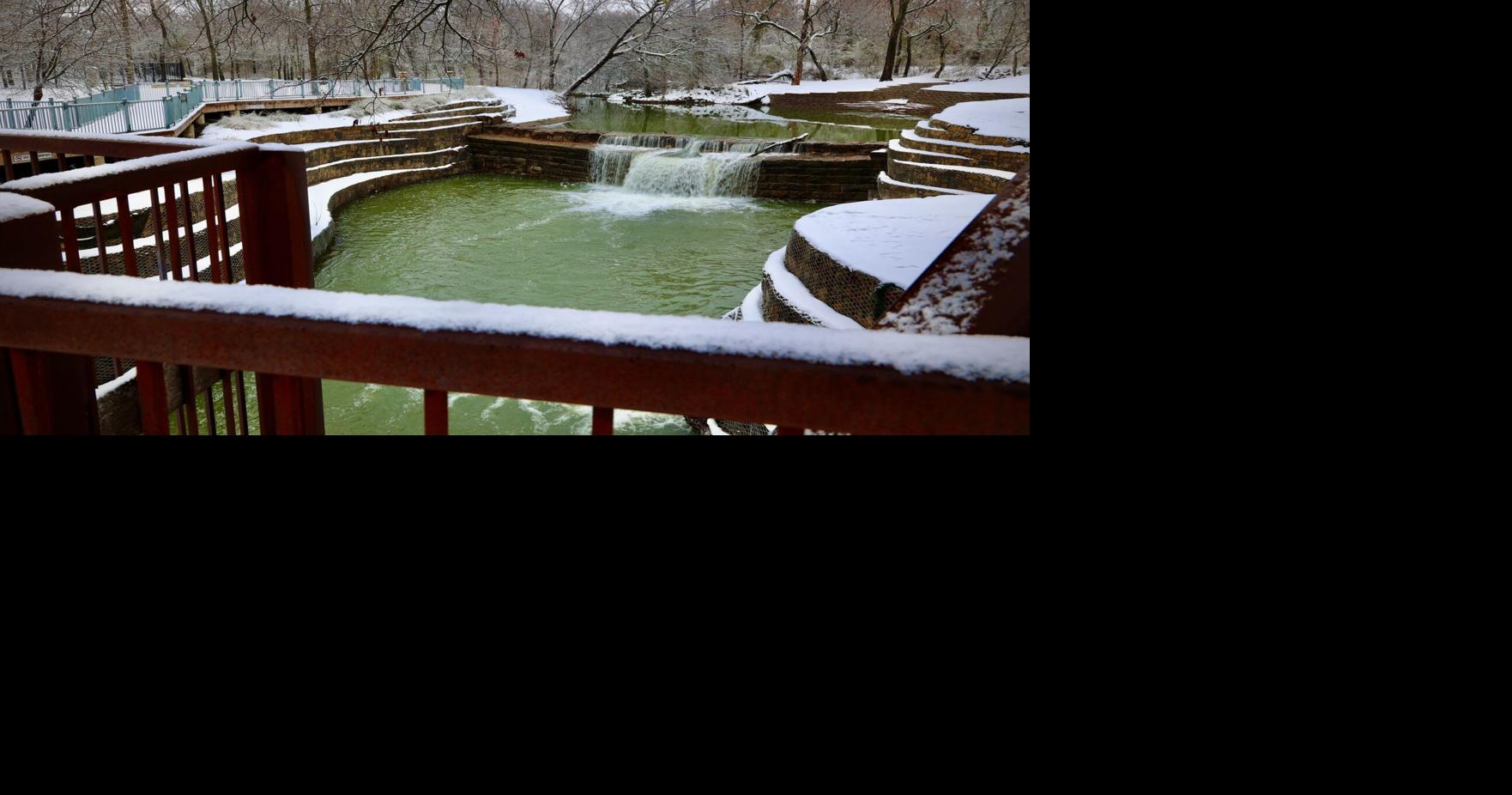 Allen Fairview Chamber emphasizes supporting local businesses following ...