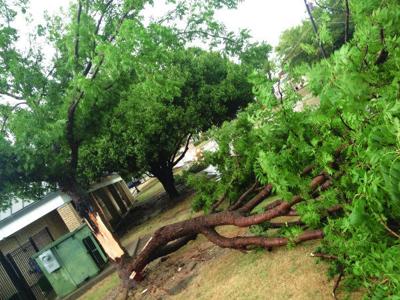 City: Be patient as Waste Management picks up debris left after last ...