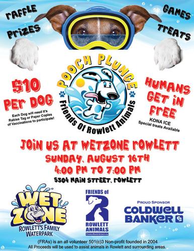 Annual Pooch Plunge at Wet Zone water park Rowlett | Rowlett Lakeshore ...