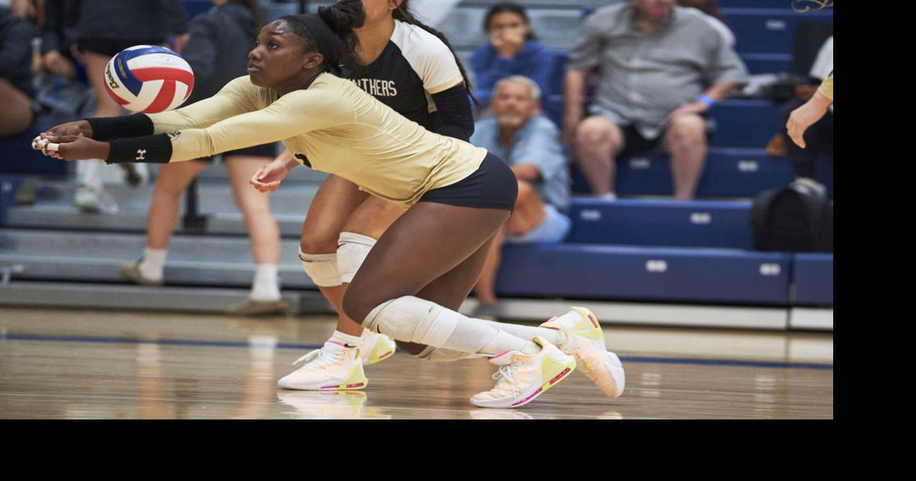 Instant impact: Lambert leaving her mark on resurgent Lady Panthers ...