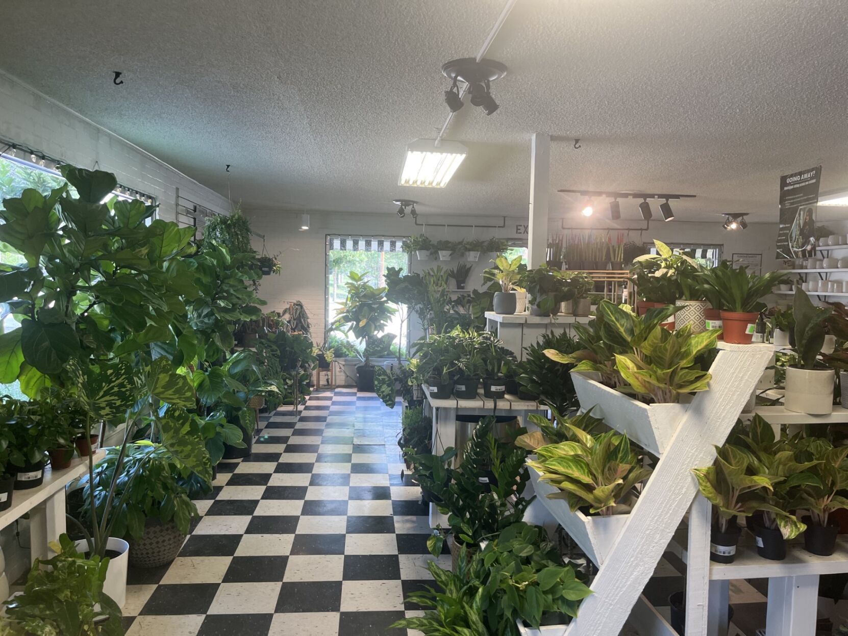 Meet the couple behind Famous in Oregon, Prosper's TikTok-famous plant ...