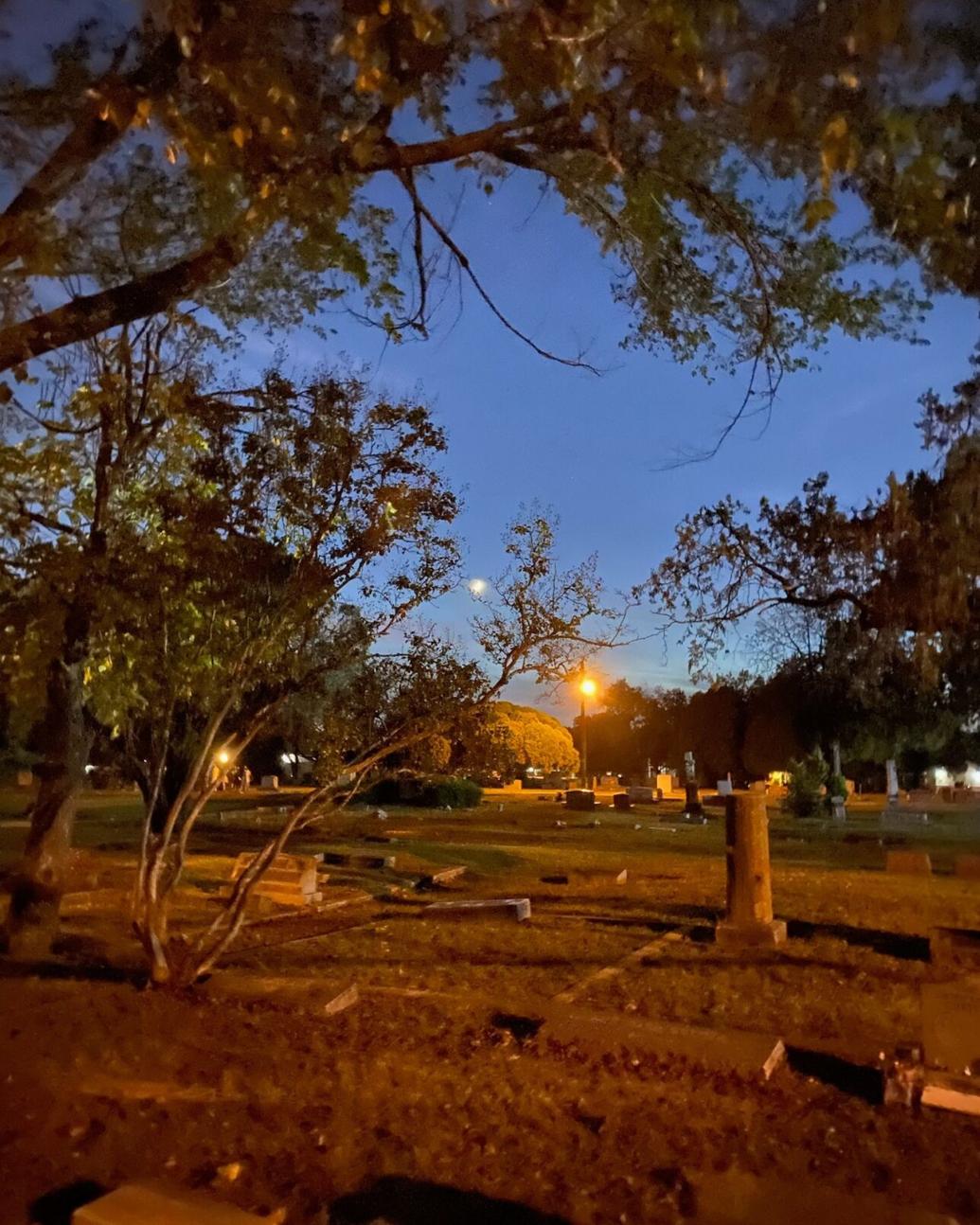 History to come to life in 12th annual Mesquite Meander | Homepage ...