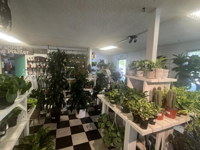 Meet the couple behind Famous in Oregon, Prosper's TikTok-famous plant ...