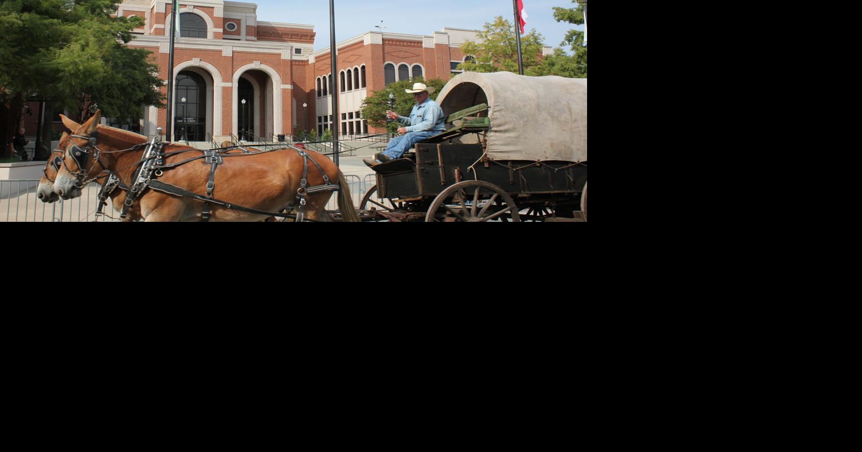 Lewisville to reallocate $15,000 from canceled cattle drive | Lewisville Leader | Local News ...