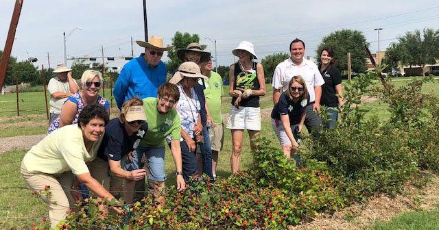 Commissioner Ron Marchant begins community grove behind Carrollton ...