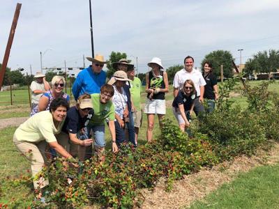 Commissioner Ron Marchant begins community grove behind Carrollton ...
