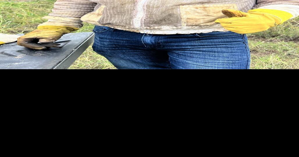 Meet Stephen Ross, Owner and Beekeeper with Ross’ Rowdy Bees | News ...