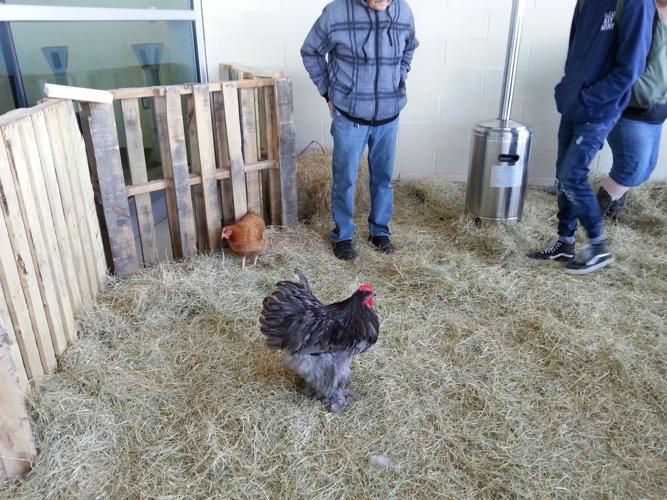 Winter Wonderland at GRCTC, collaborative event for family-fun ...