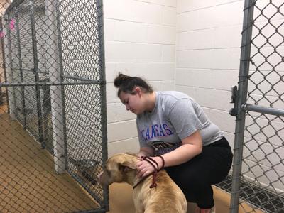 Allen residents find record number of ‘fur-ever’ friends | News ...