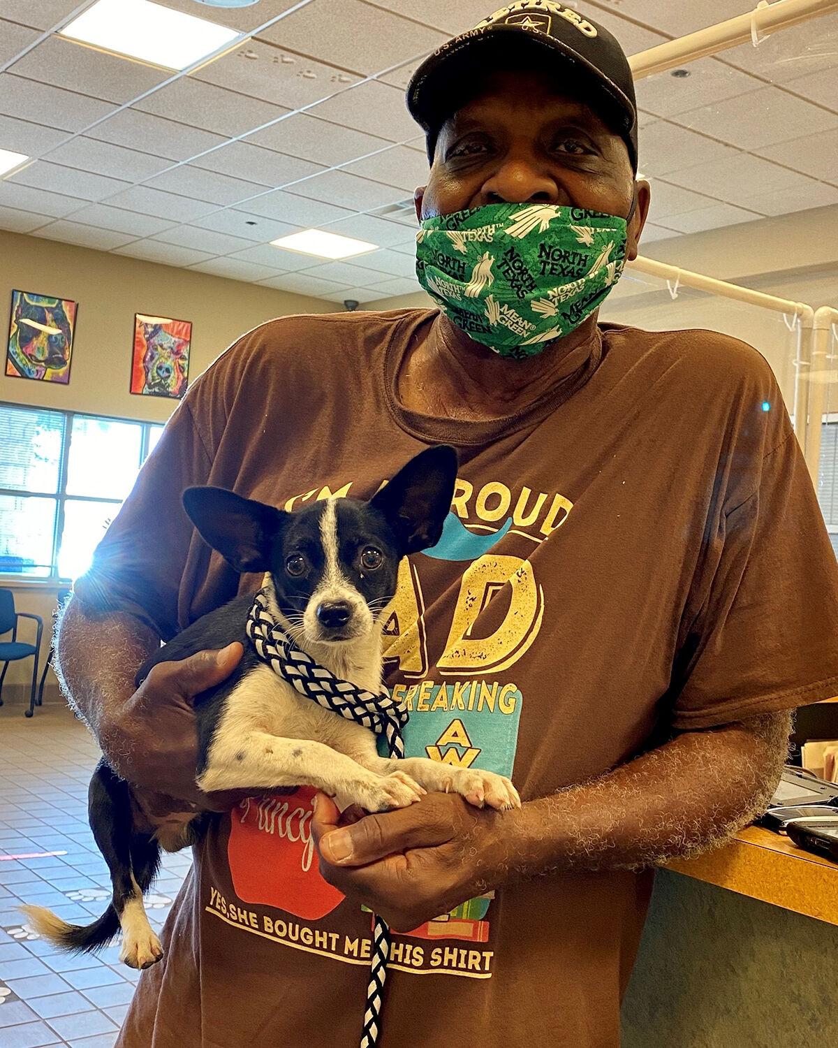 Mesquite City Animal Shelter Adoption
