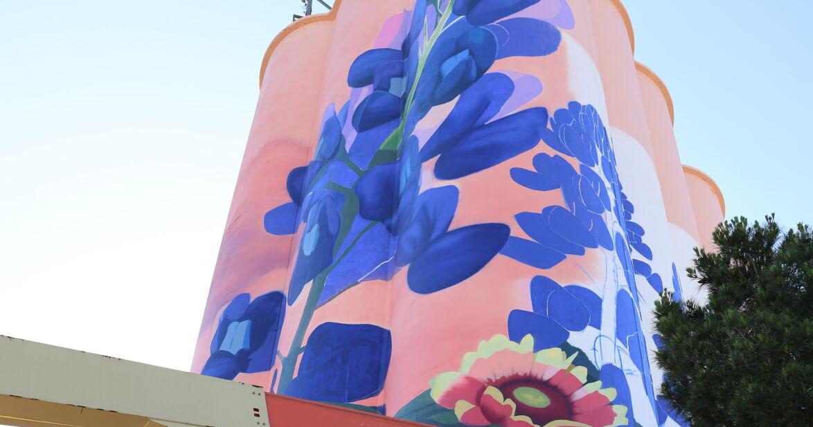 A splash of color: Carrollton grain silo painting progresses ...