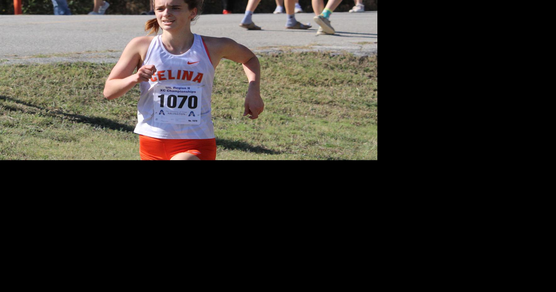 Frick stepping up as Lady Bobcats seek championship encore | Celina ...