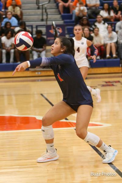 Lady Bulldogs turning youth into experience during productive start ...