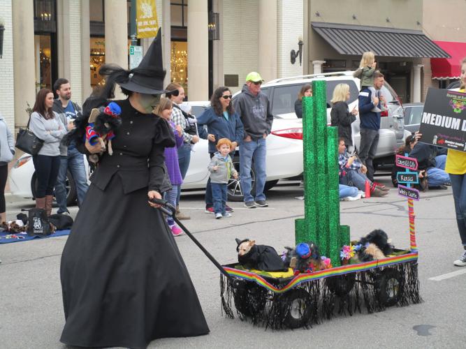 krewe of barkus mckinney
