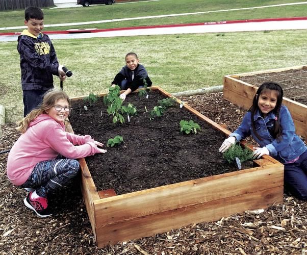 'Lettuce Turnip the Beet': Steadham Elementary librarian creates ...