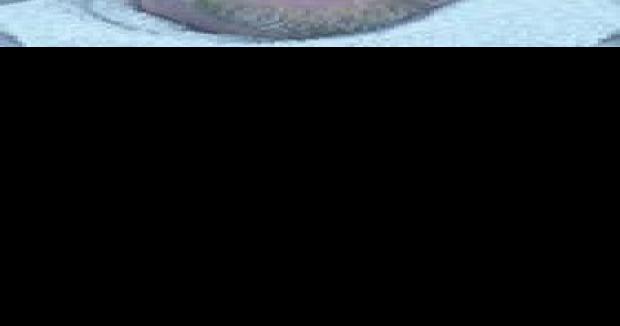 Coleman sent to state prison | News | starlocalmedia.com