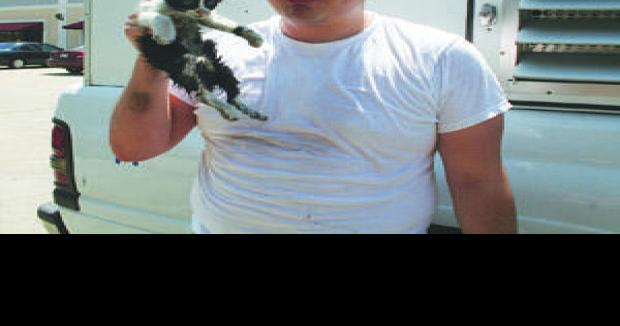 Justin Manchester, 22, of Allen holds a black and white kitten that he ...