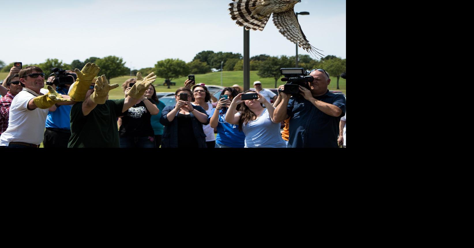 'Ribs 'N' Raptors:' Blackland Prairie Raptor Center gears up for third ...