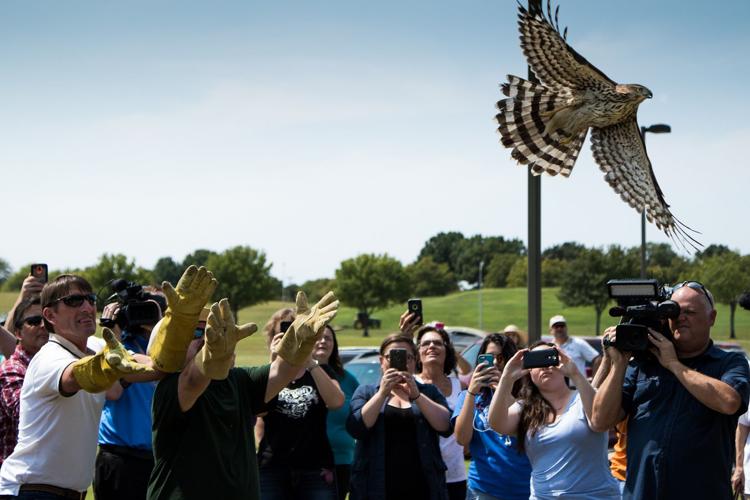 'Ribs 'N' Raptors:' Blackland Prairie Raptor Center gears up for third ...