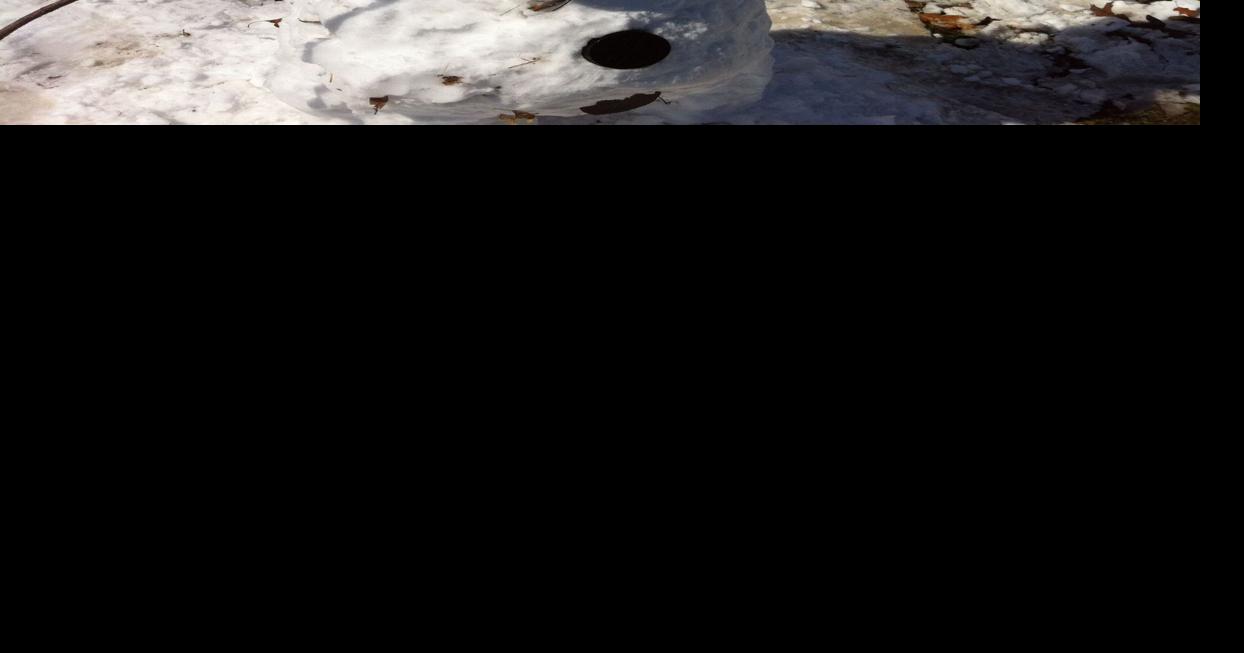 Olaf Spotted in Allen | News | starlocalmedia.com