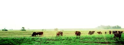 Longtime landowner in Frisco budges, sells portion of property | Frisco ...