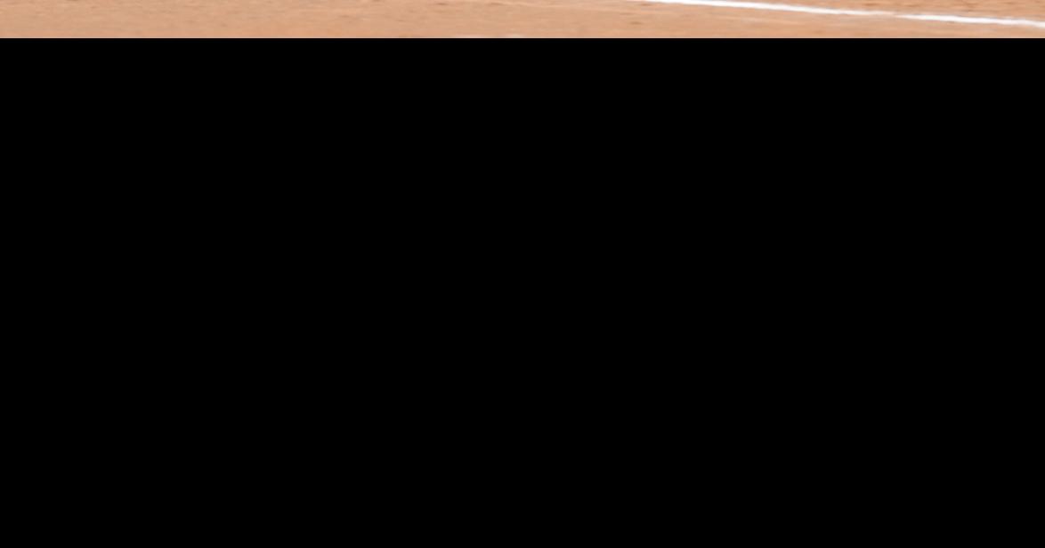 12-5A Softball: Poteet winning streak comes to an end at hands of North ...