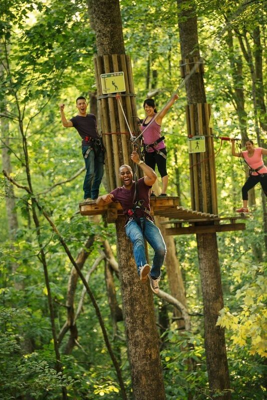 Treetops adventure course coming to Oak Point | News | starlocalmedia.com