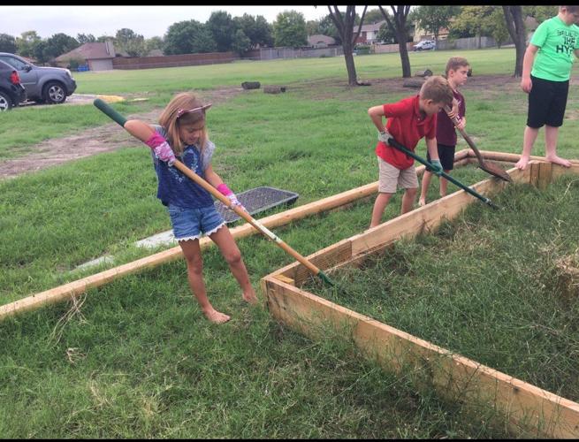 Green thumbs, growing minds: Garland ISD’s GRCTC partners with Herfurth ...