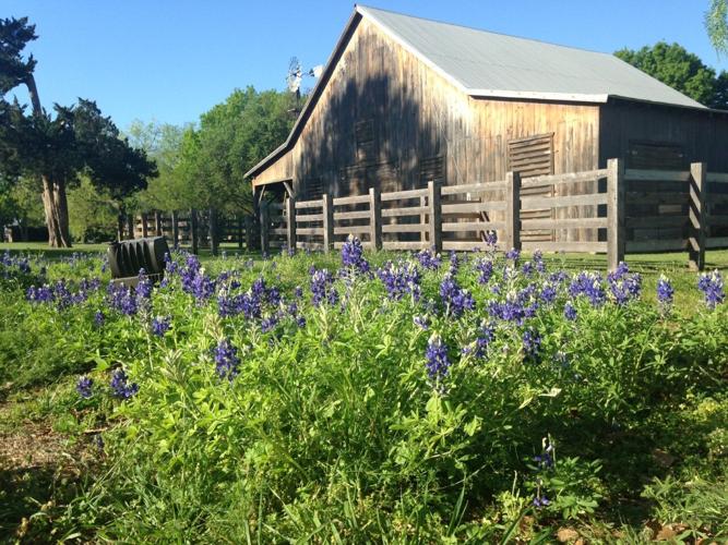 A glimpse into the history of the A.W. Perry Homestead Museum ...