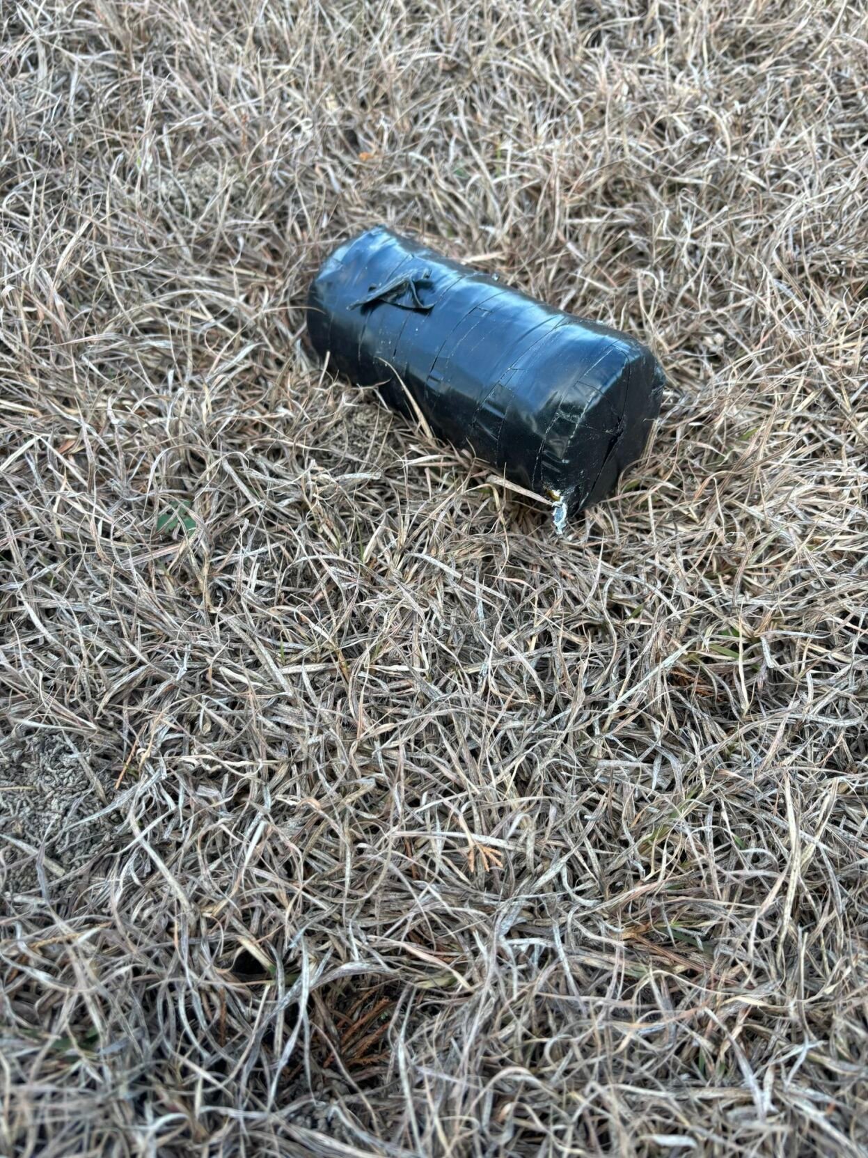 Collin County Sheriff's Deputies, Plano PD Bomb Squad dispose of ...