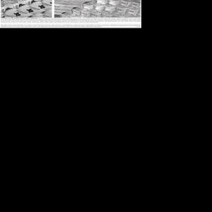 Page A07 | The Lakeside Journal | starlocalmedia.com