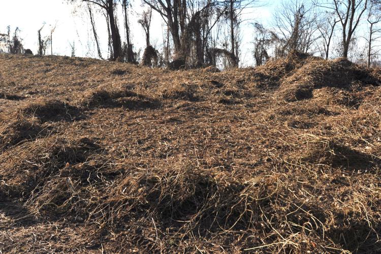 Body identified as that of Swift, case being investigated as homicide ...