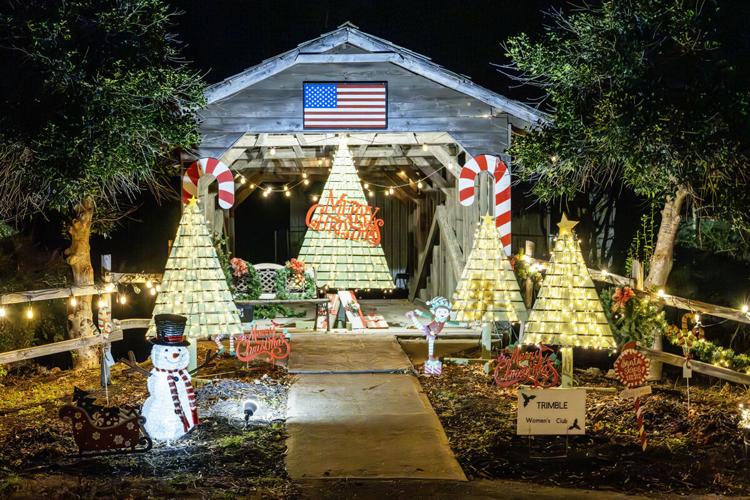 Trimble celebrates Christmas season with tree lighting, library open ...