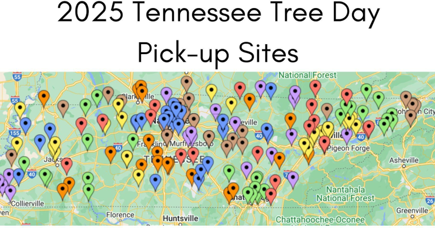 11th Annual Tennessee Tree Day gives everyone a chance to plant | News ...