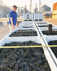 white squirrel winery