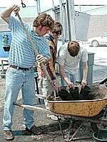 FFA greenhouse blooming at DHS | Archives | stategazette.com
