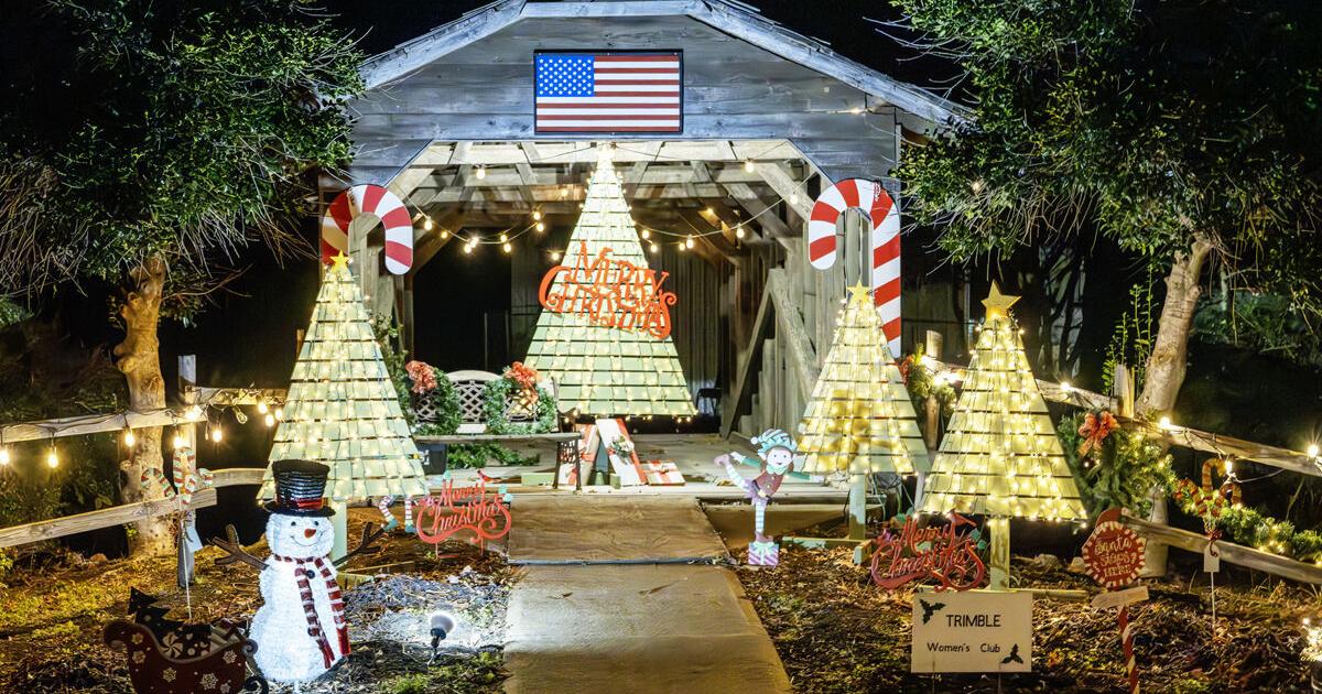 Trimble celebrates Christmas season with tree lighting, library open ...