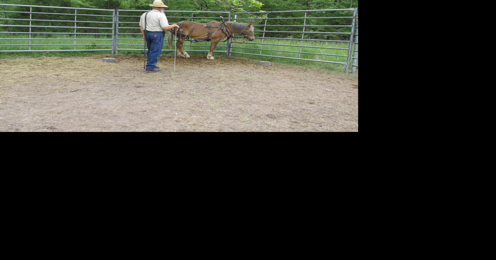 Driving Cinder | Columns | stategazette.com