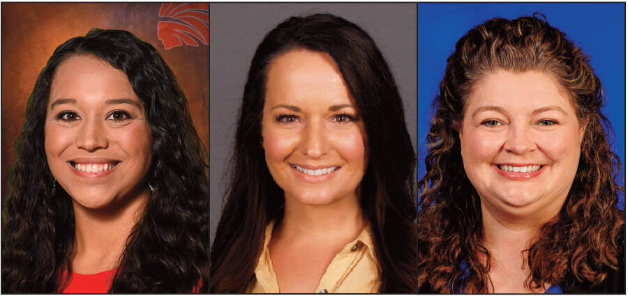 Dyer County Schools names district level Teachers of the Year | News ...