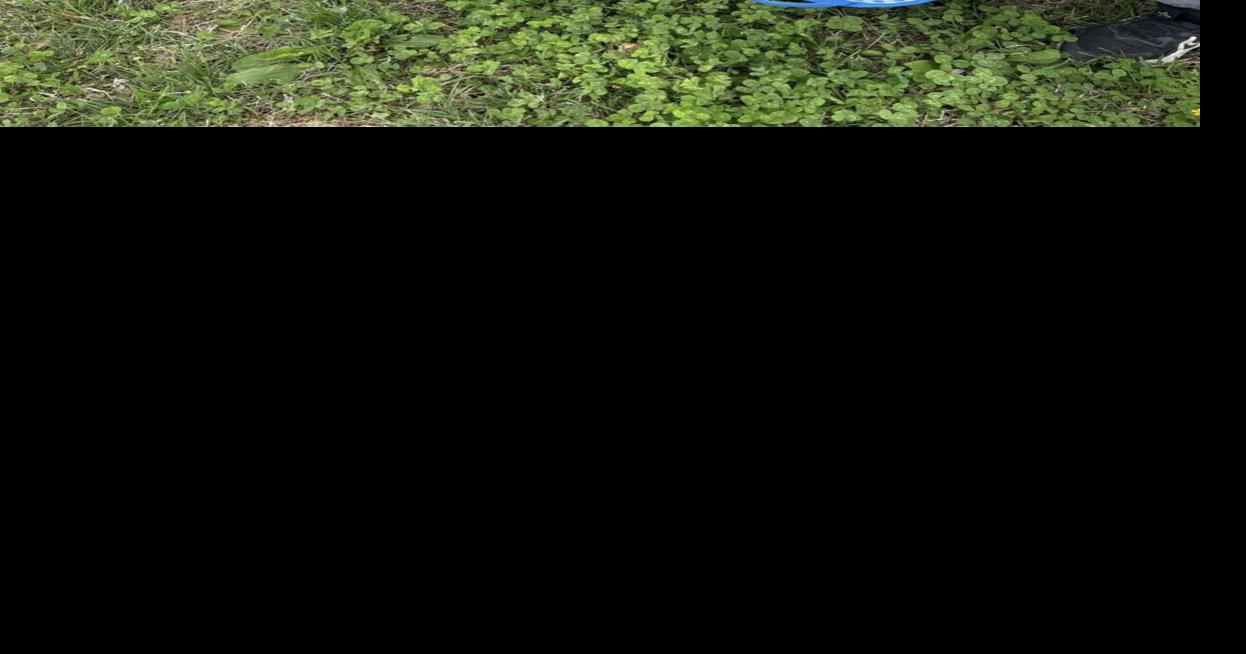 Goin' on an Egg Hunt! | News | stategazette.com