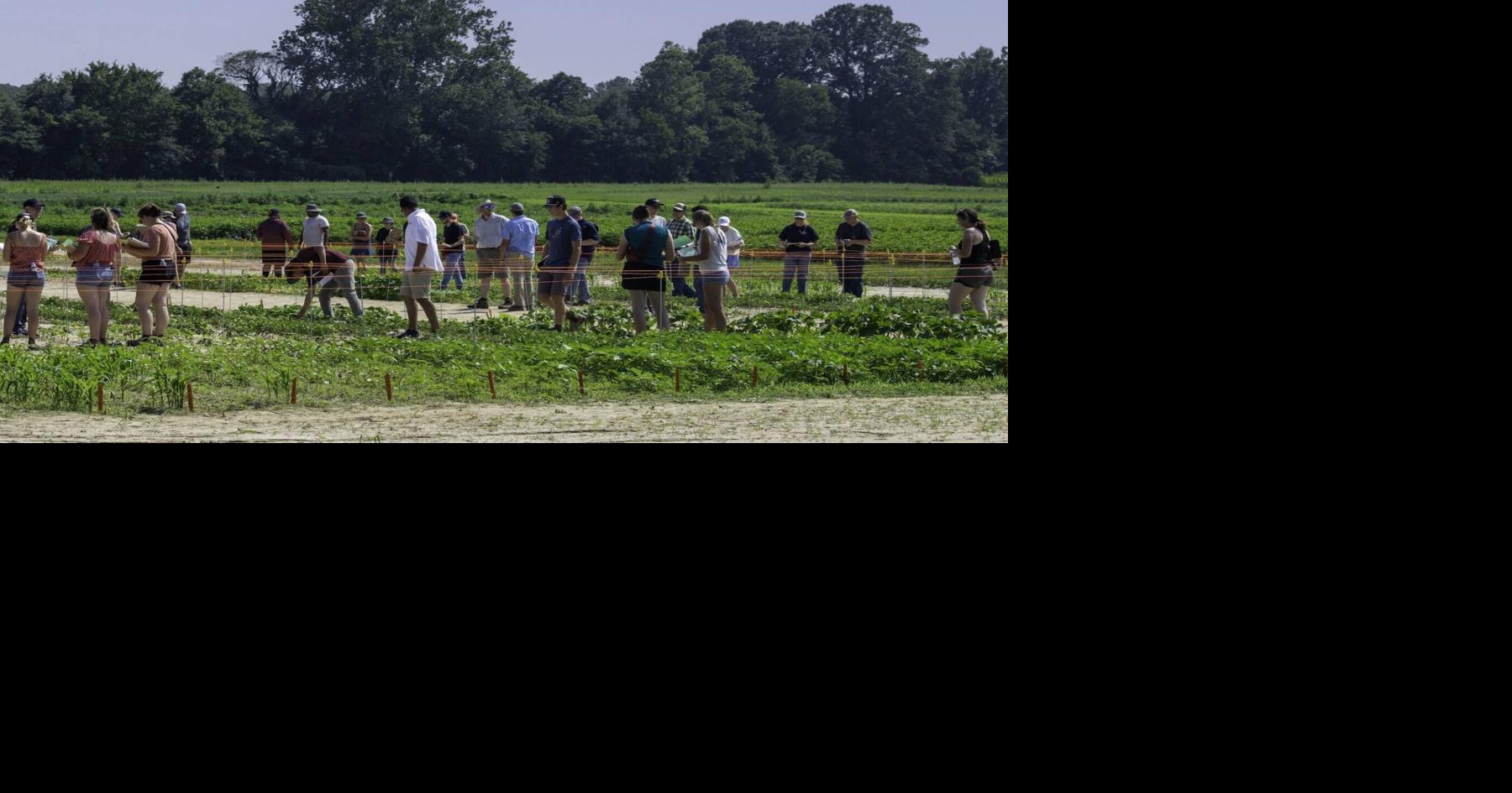 Scientists and students converge on Dyersburg for “The Weed Olympics ...