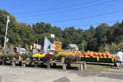 Agritourism, local food access at center of Senate farm bill | Senate ...